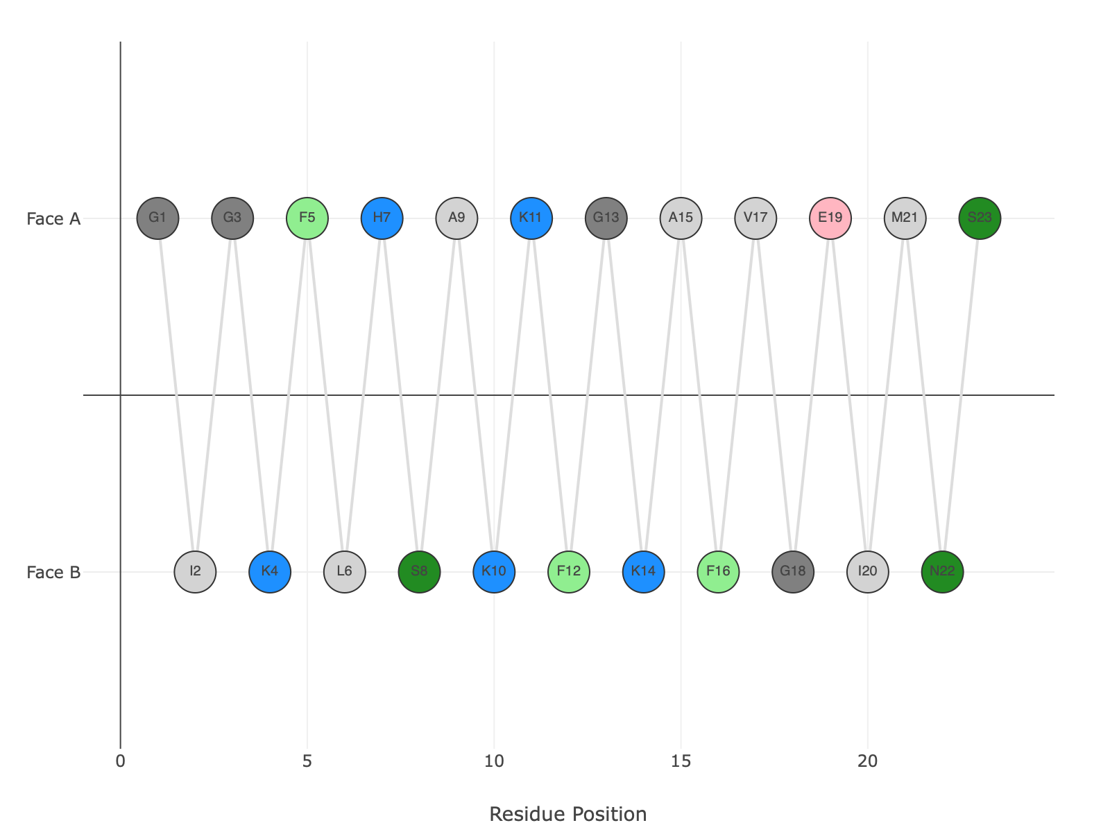 Peptide Charge Distribution: The 3D Topology of Solubility and ...